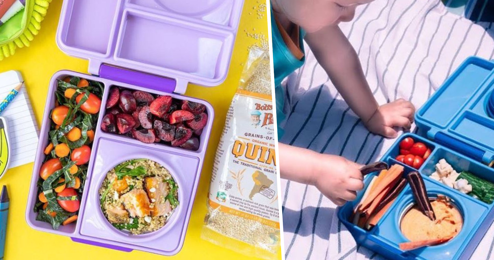 OmieBox , A High Tech Lunchbox Will Change Your Life | Moms.com